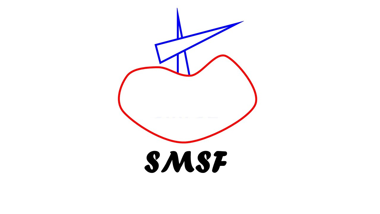 SMSF Literacy Tutoring Platform